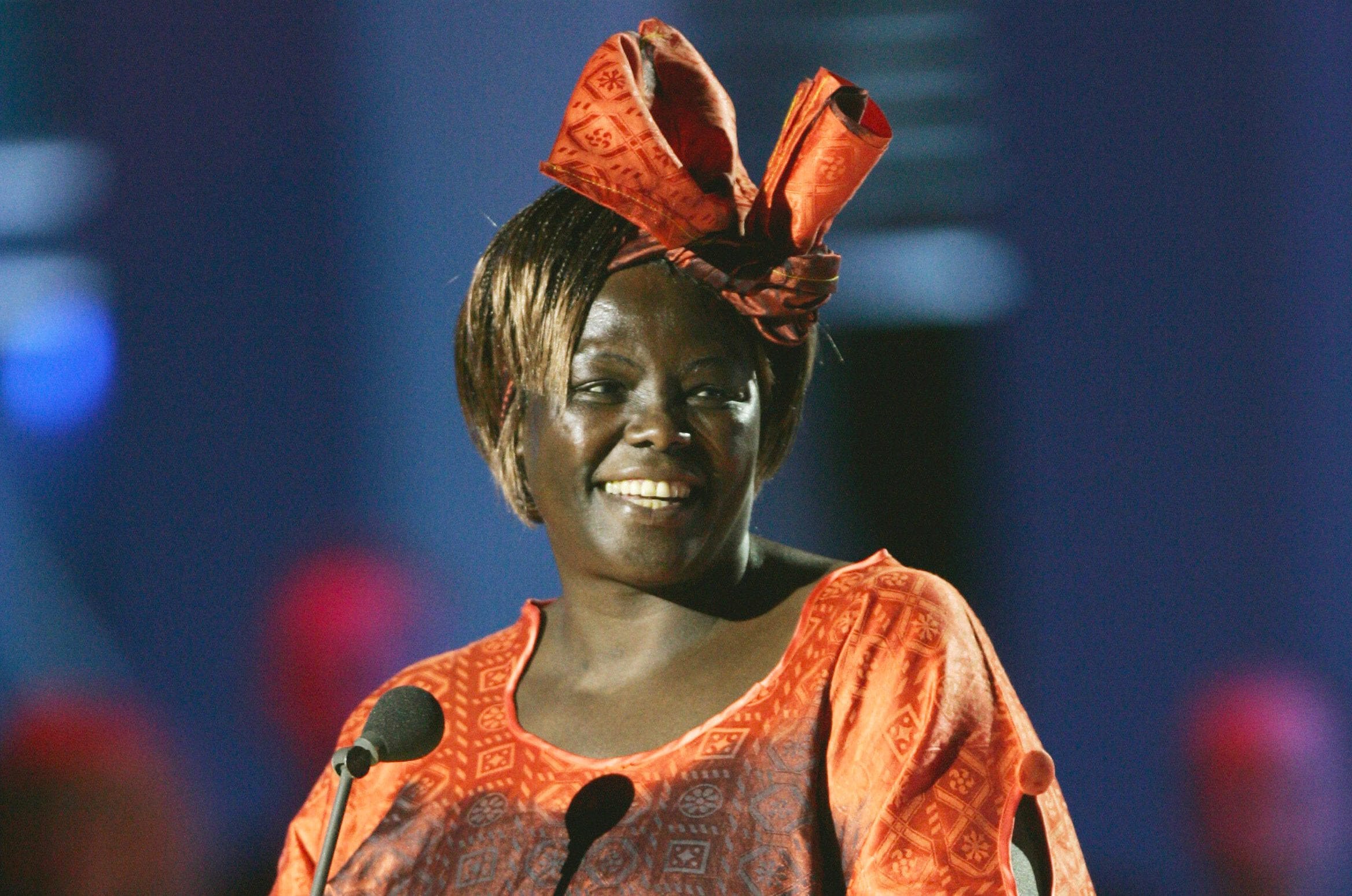 Wangari Maathai: biografia di un'eco-femminista | Ohga!