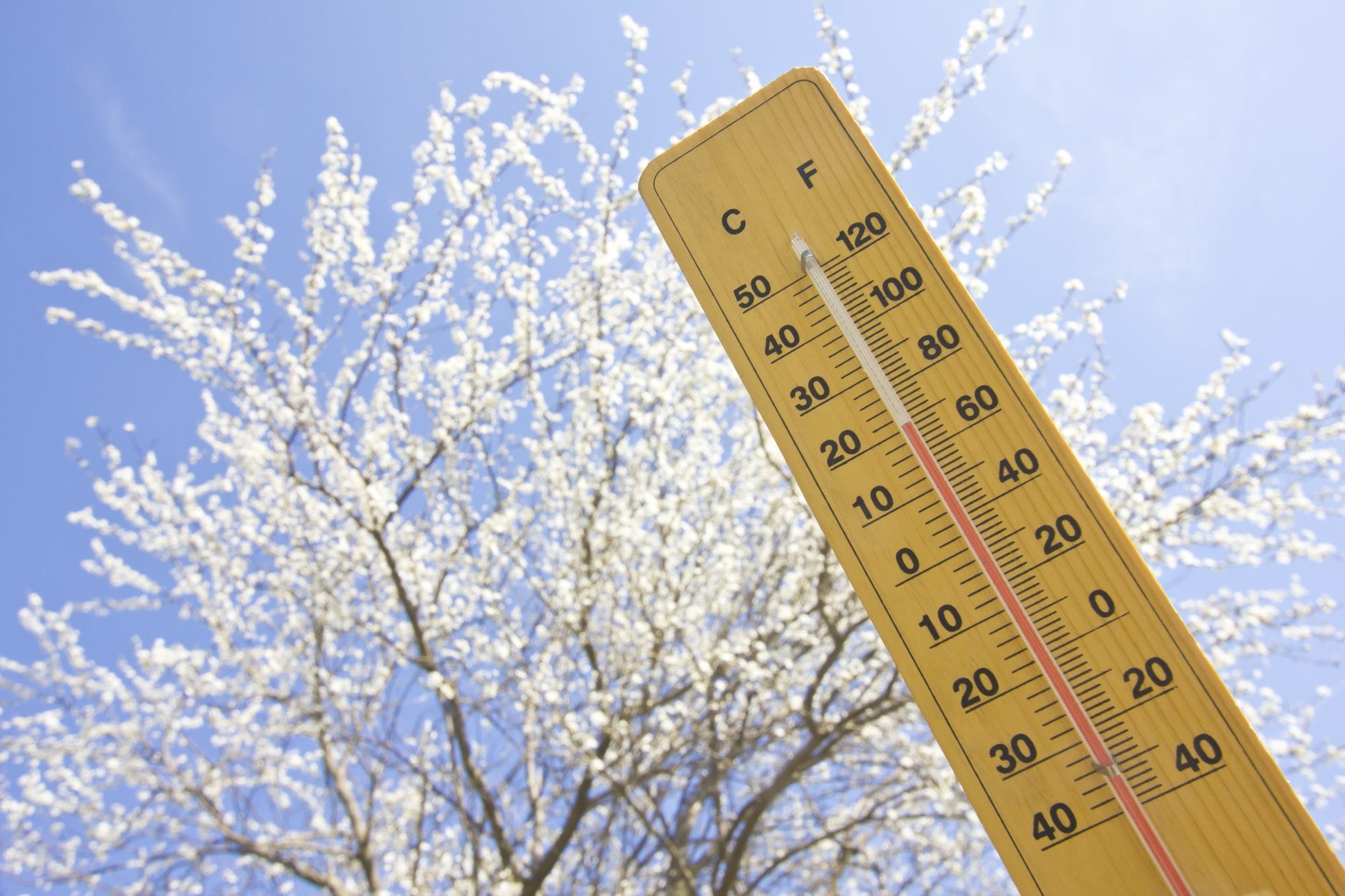 Vuoi vivere felice? La temperatura ideale è di 22 gradi centigradi | Ohga!