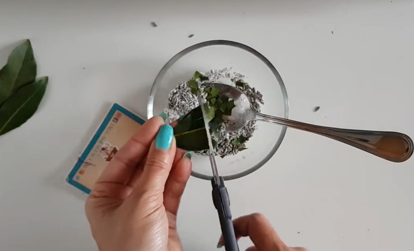 Antitarme fai da te: come farlo in casa con ingredienti naturali | Ohga!