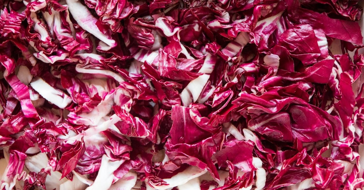 Radicchio: proprietà, controindicazioni e come cucinarlo | Ohga!