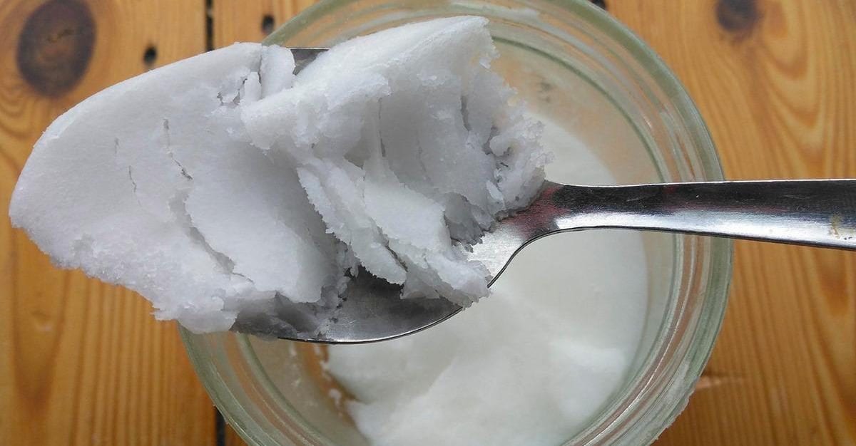 Olio di cocco: proprietà, utilizzi e benefici | Ohga!