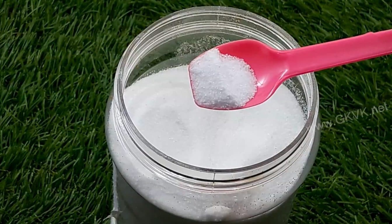 Borace in giardino: 5 consigli utili per le tue piante | Ohga!