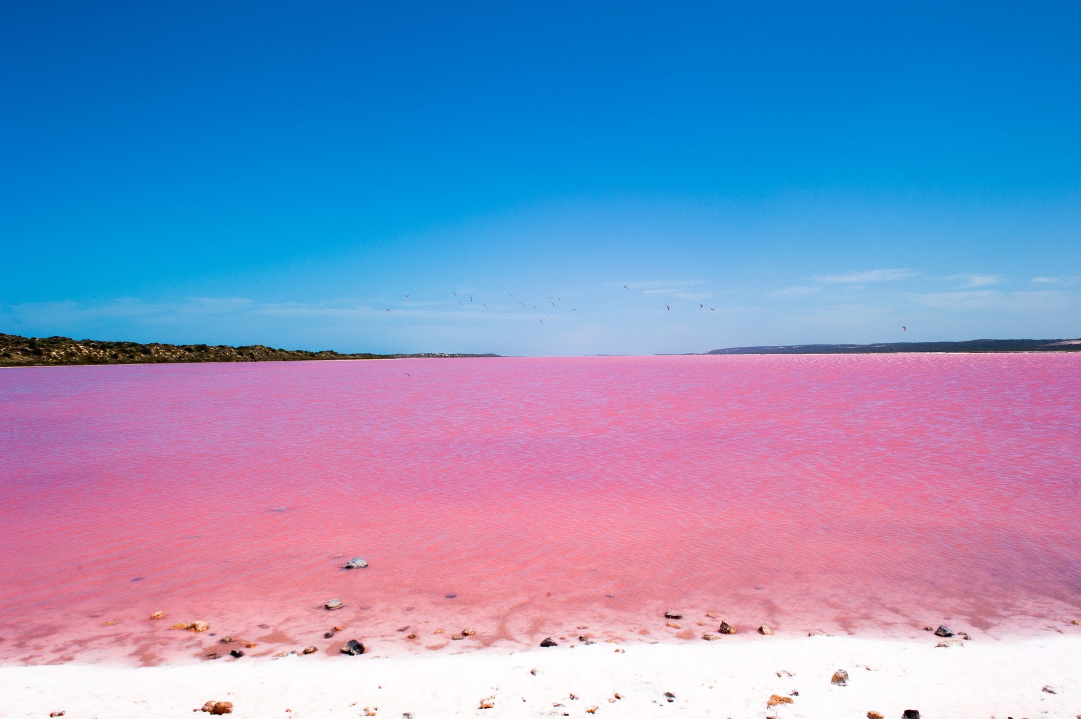 Il lago rosa in Australia: dove si trova il Lake Hillier | Ohga!