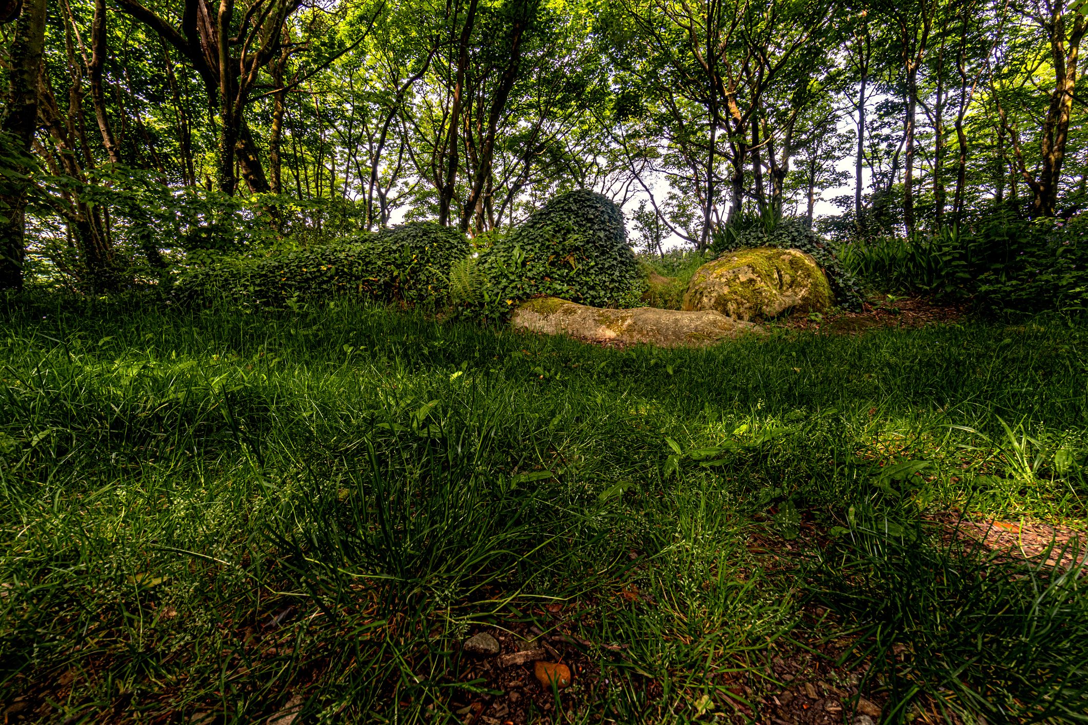 Cornovaglia: The Mud Maid, la scultura vivente che muta aspetto ogni ...