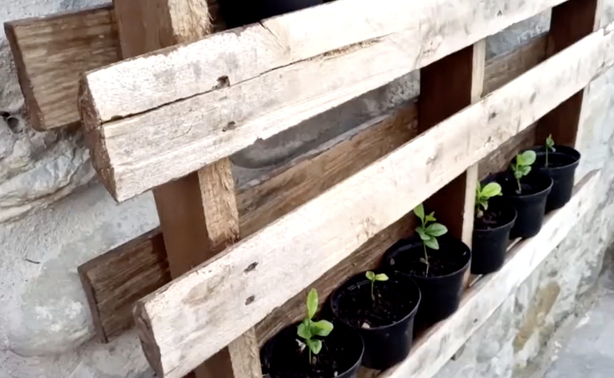 Orto verticale fai da te: come realizzarlo con il pallet | Ohga!