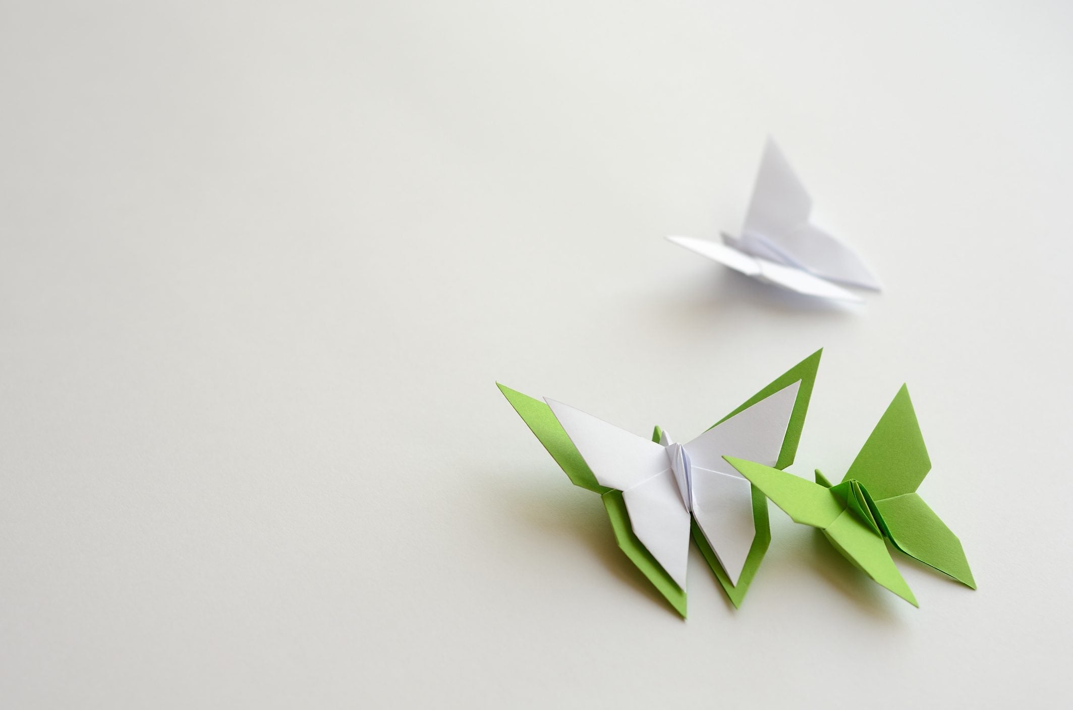 L'origami farfalla | Ohga!