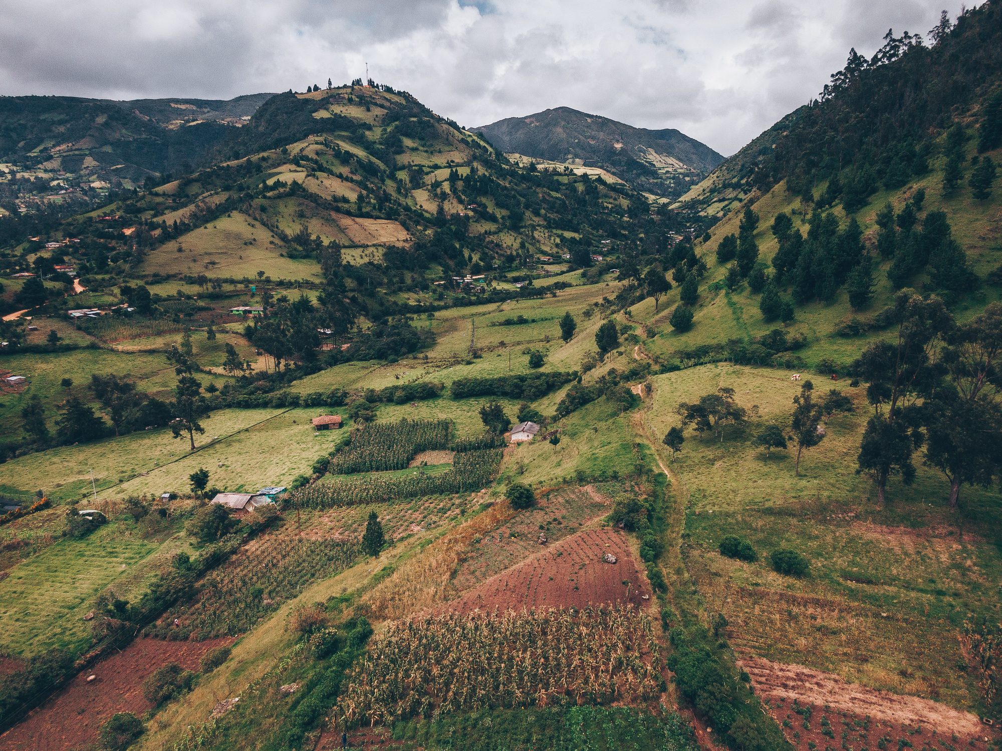Ucciso in Colombia un altro giovane attivista: Breiner David Cucuñame ...