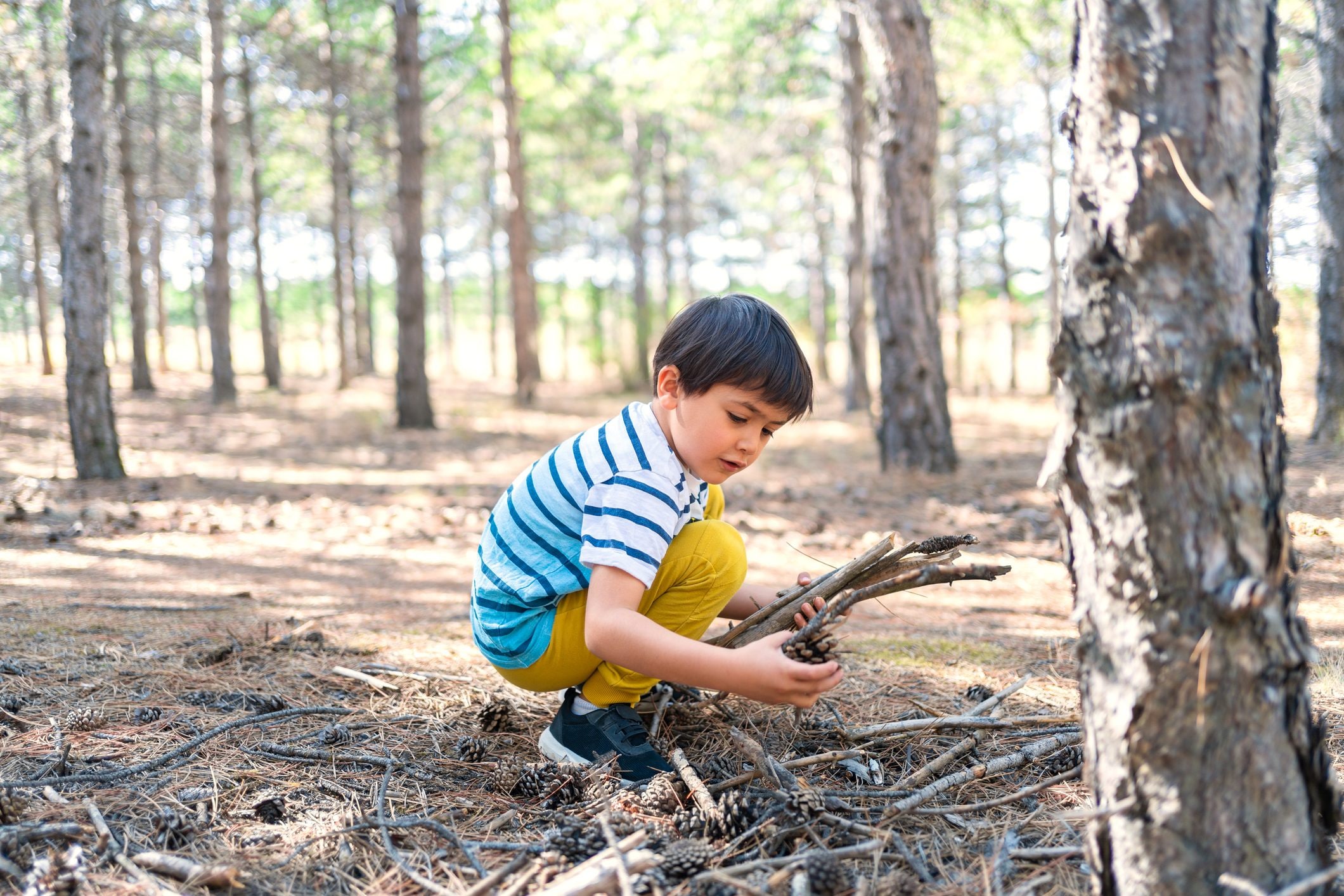 Rami secchi decorativi: come personalizzarli con i bambini | Ohga!