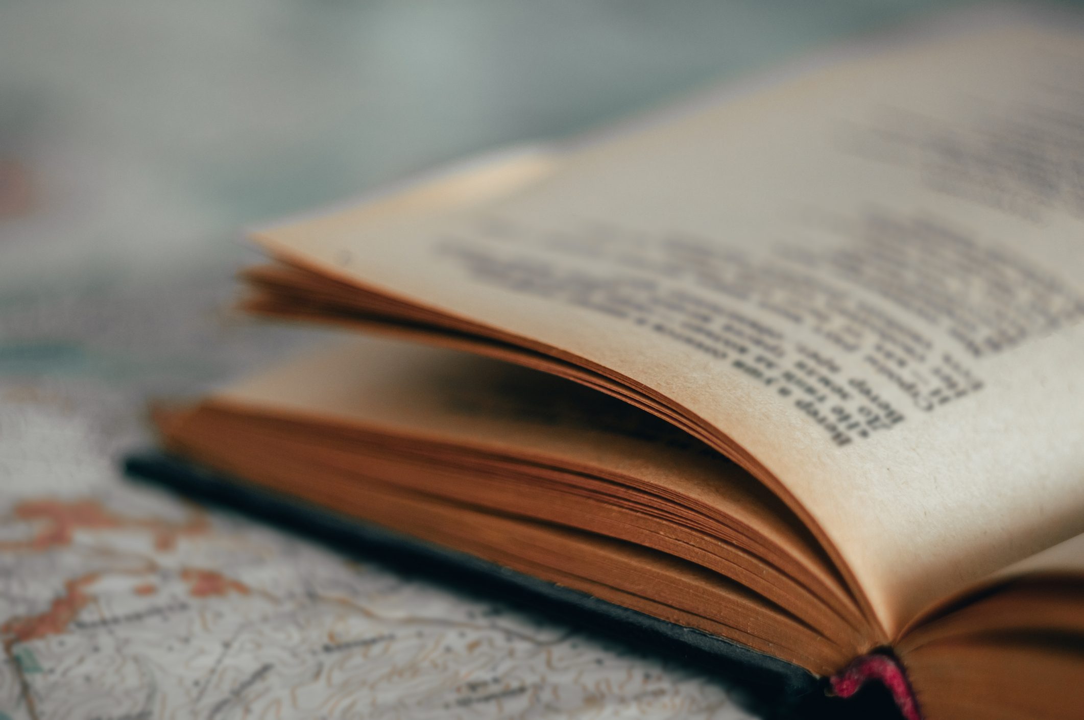 Il sacchetto regalo con le pagine di vecchi libri | Ohga!