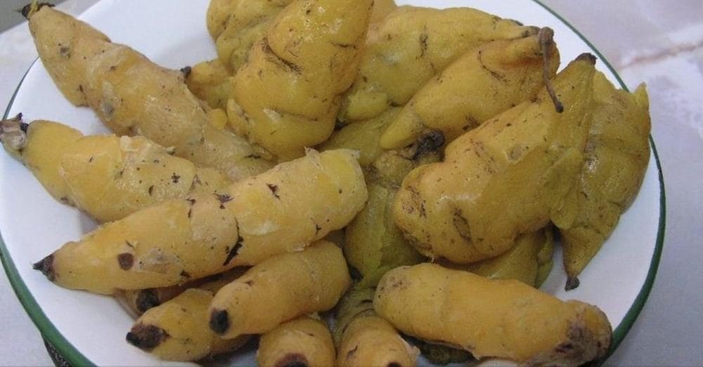 Oca del Perù: radice, proprietà e usi | Ohga!