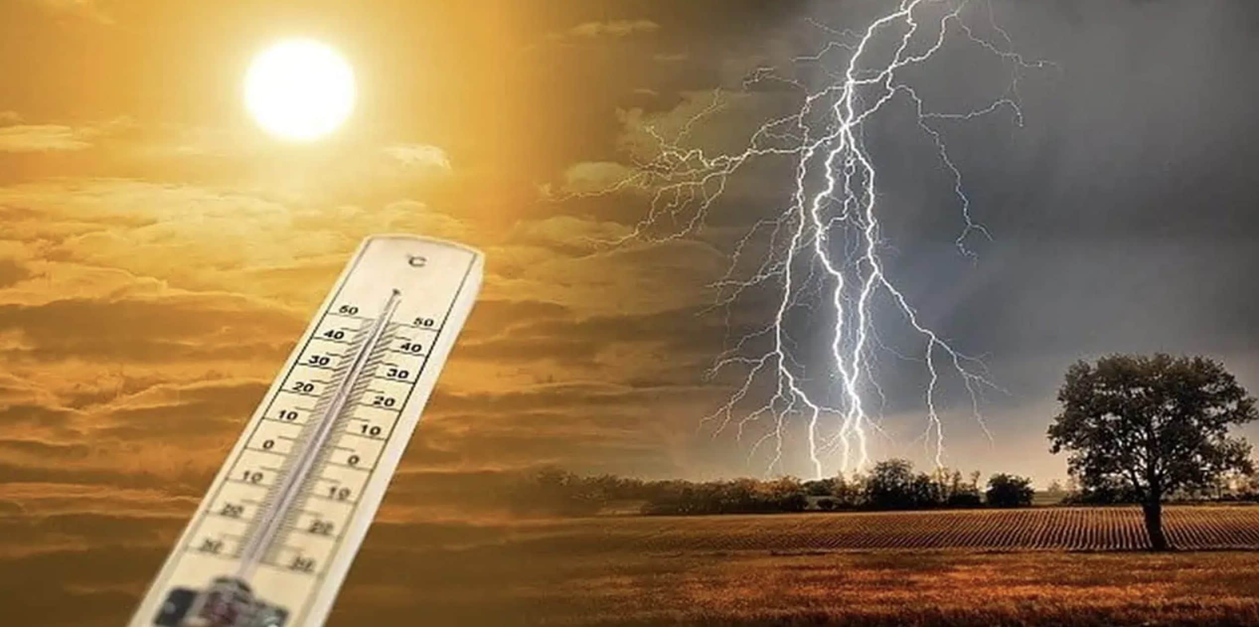 Che conseguenze ha su di noi l'autunno più caldo di sempre? | Ohga!