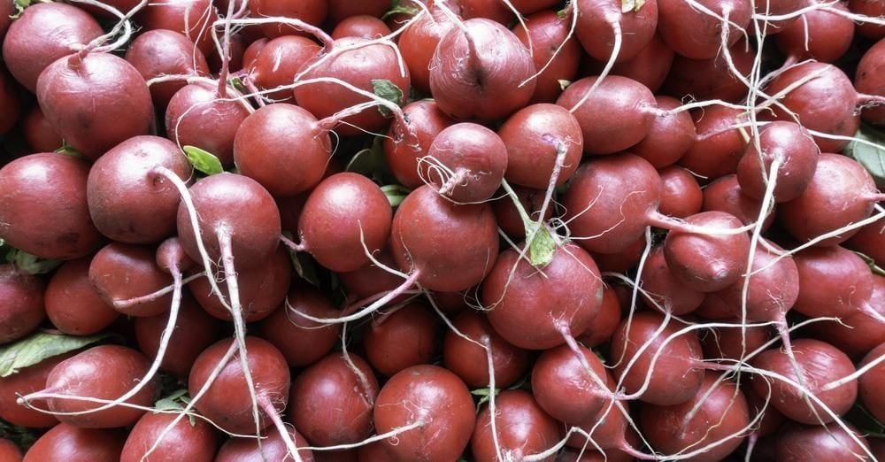 Rapa rossa: proprietà, valori nutrizionali e usi in cucina | Ohga!