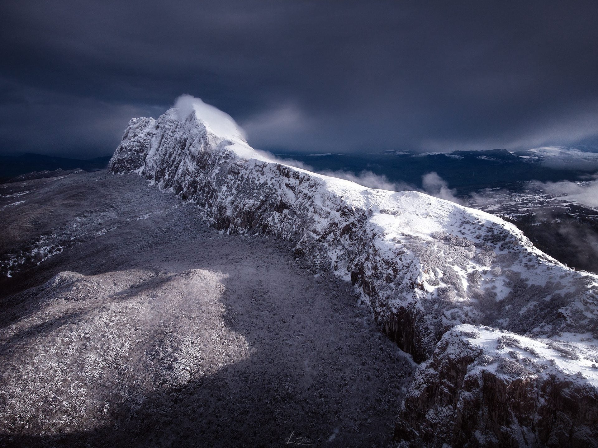 Bosco Ficuzza, storia di un'antica riserva siciliana che potrebbe ...