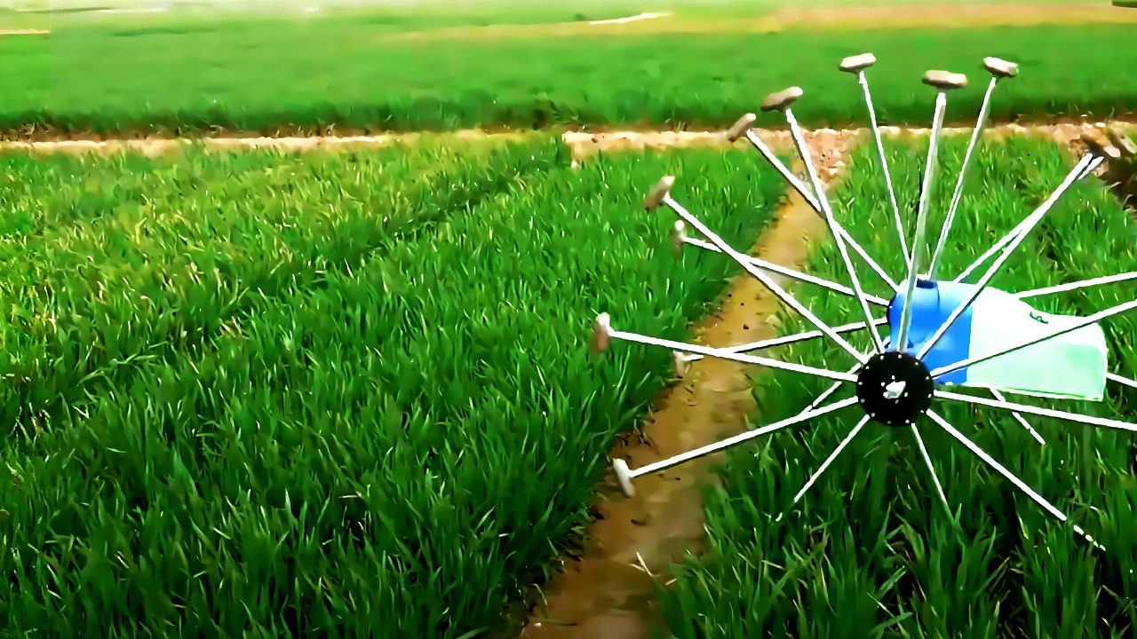 SentiV, il robot contadino che salva i raccolti con due fotocamere e un ...