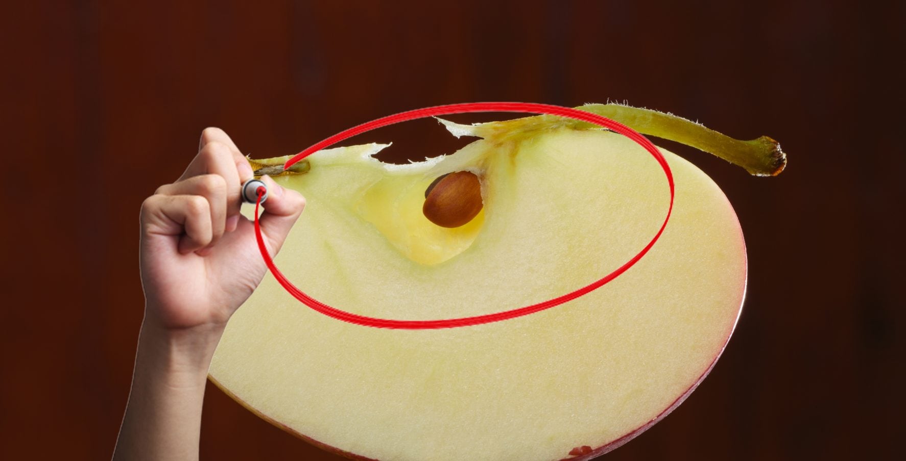 Come realizzare un siero naturale con i semi di mela | Ohga!