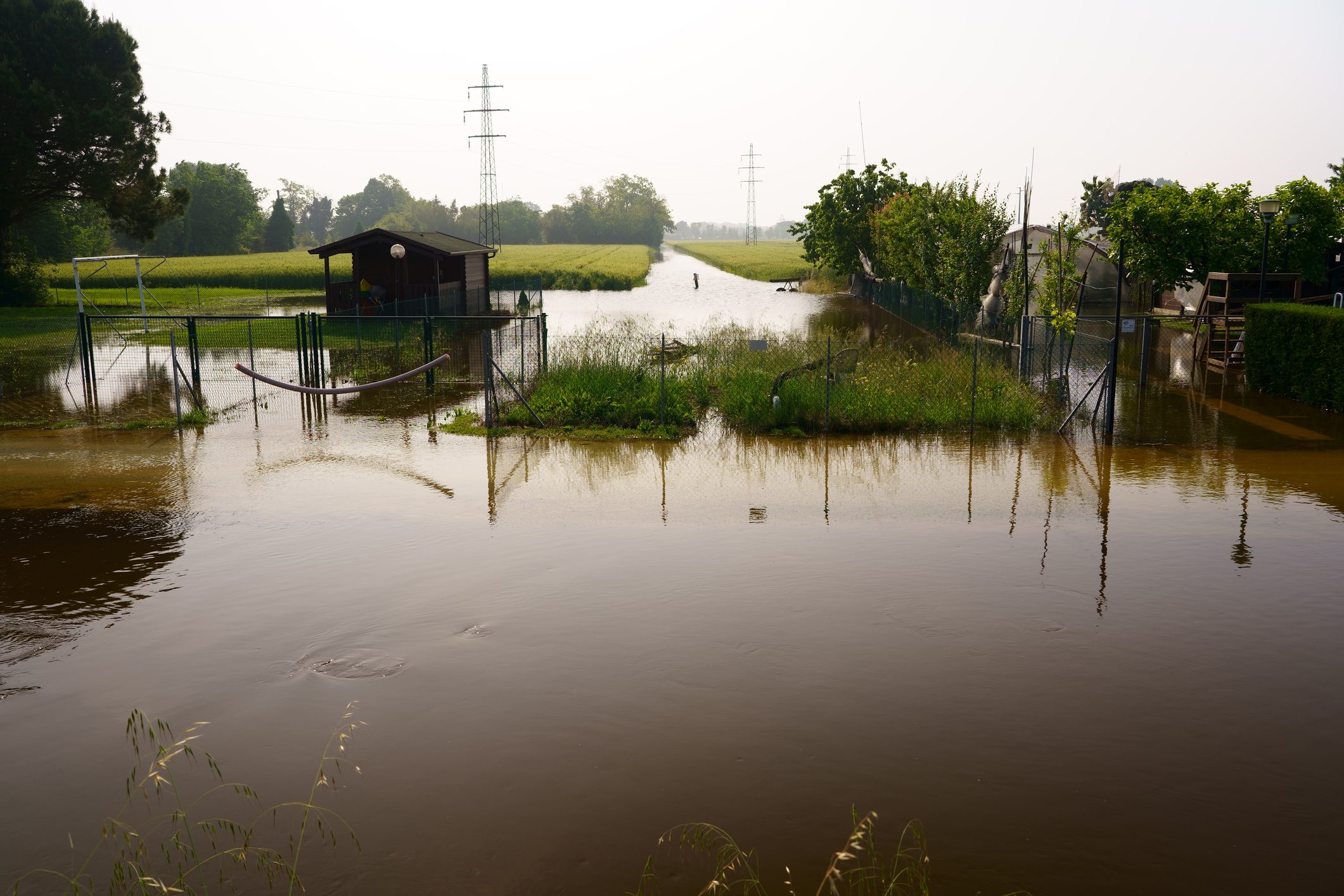 Il Wwf ha sfatato le dieci fake-news più diffuse sull'alluvione in ...