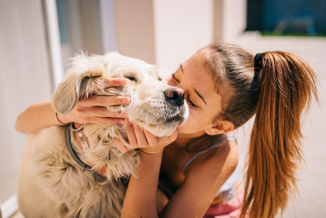 Primo volo in cabina per cani di grossa taglia: Moka e Honey fanno la ...