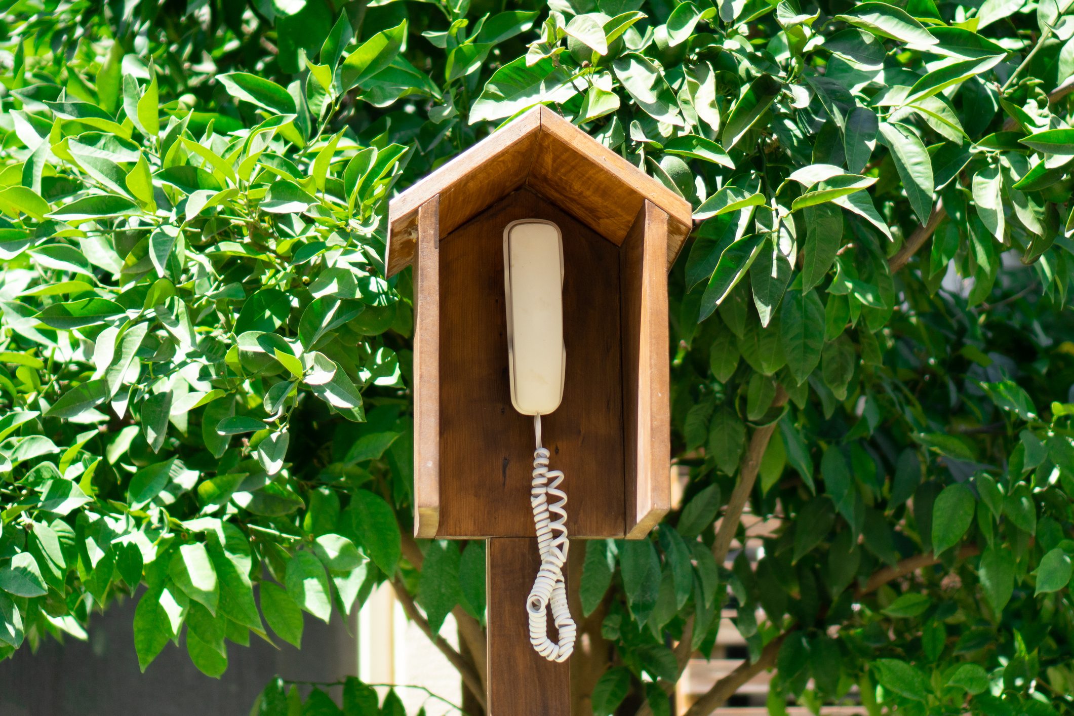 Il telefono del vento, o wind phone: come funziona | Ohga!