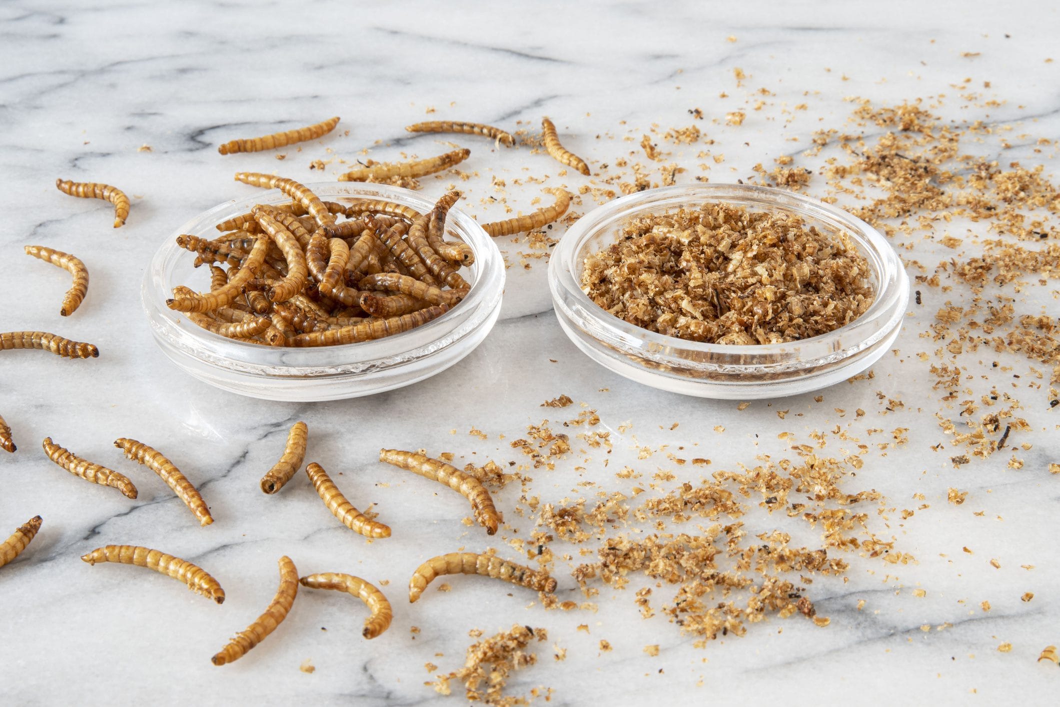 No non è vero che si mangia farina di insetti nelle mense scolastiche ...