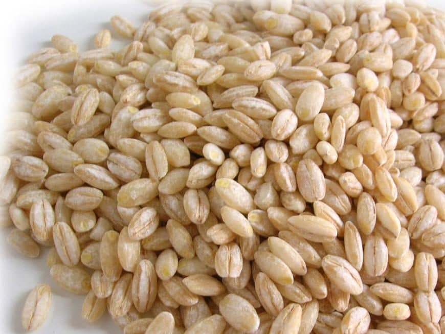 Orzo: calorie, proprietà e controindicazioni | Ohga!