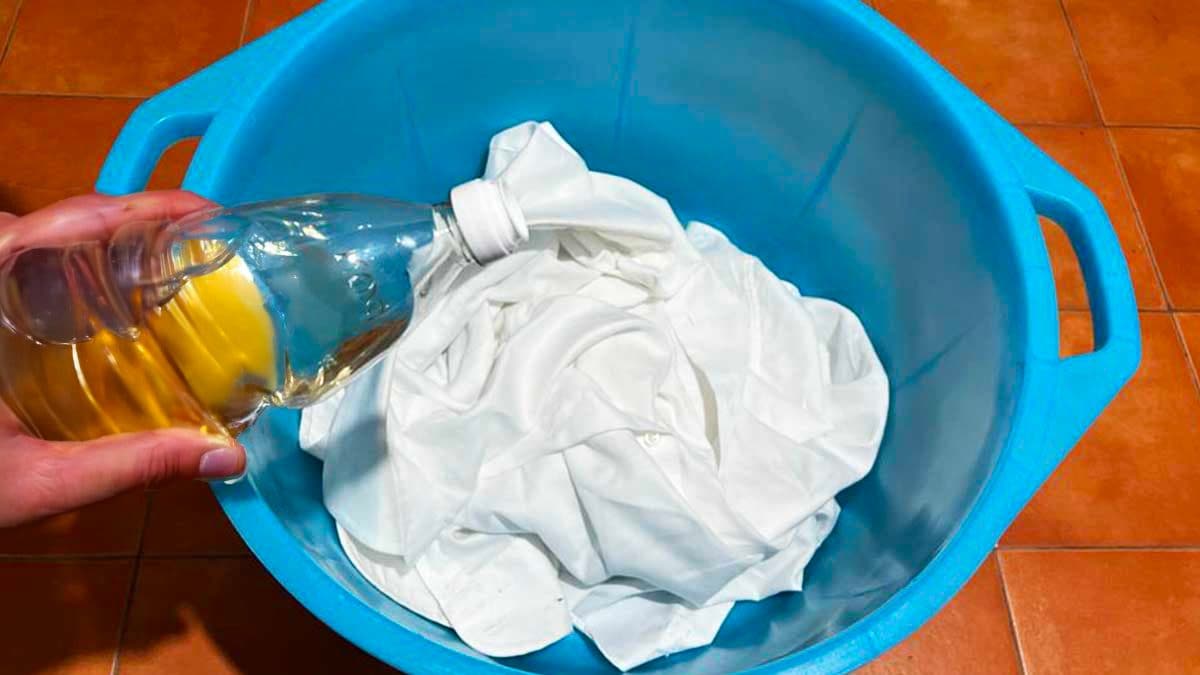 Come lavare i capi delicati ingialliti senza rovinarli | Ohga!