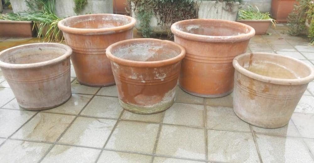 Macchie di Vasi a Terra su Balconi e Terrazzi: Il Trucchetto per ...