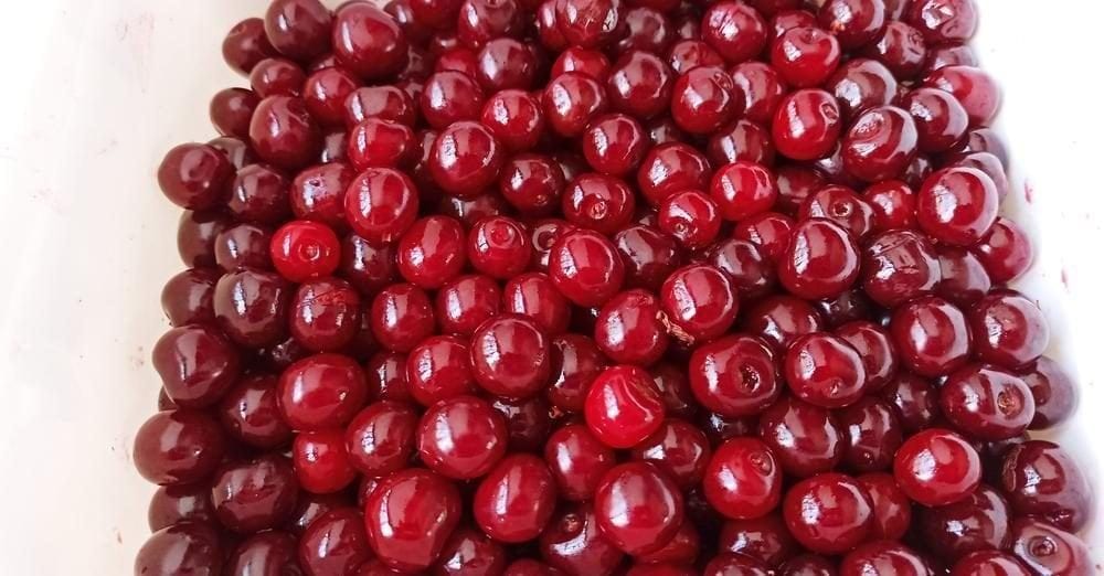 Quali sono le differenze tra ciliegie e amarene? | Ohga!