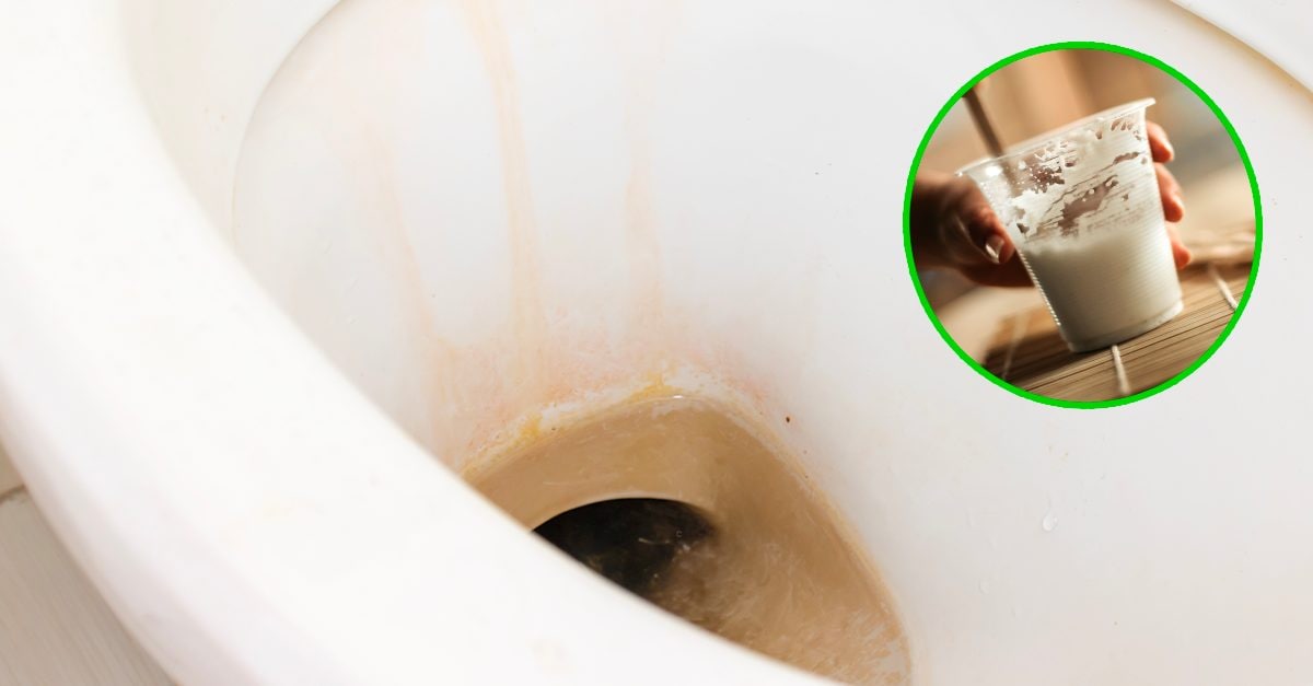 Come pulire residui di calcare e macchie di acqua nel wc: il metodo ...