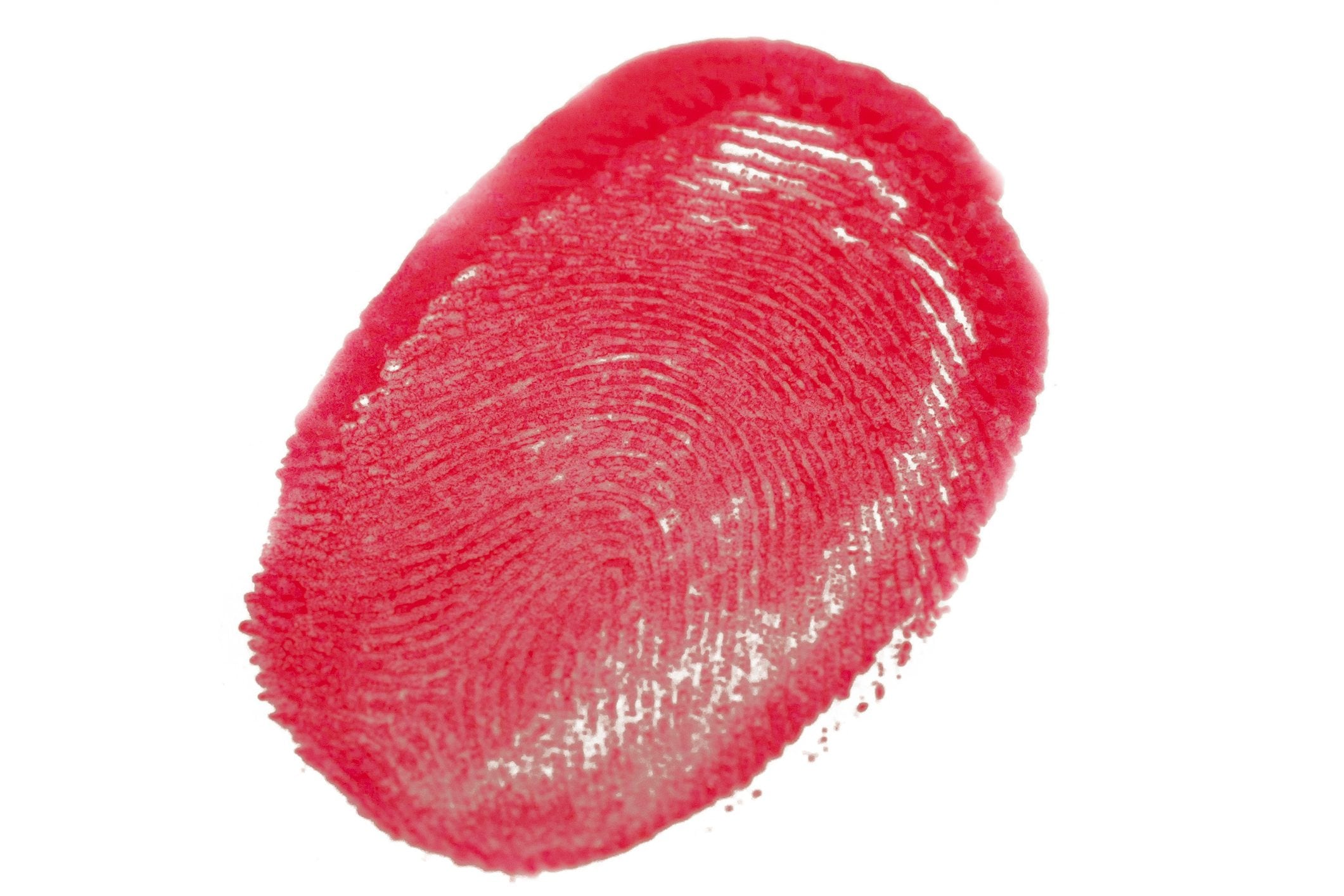 Disegnare gli animali partendo dal timbro del pollice | Ohga!