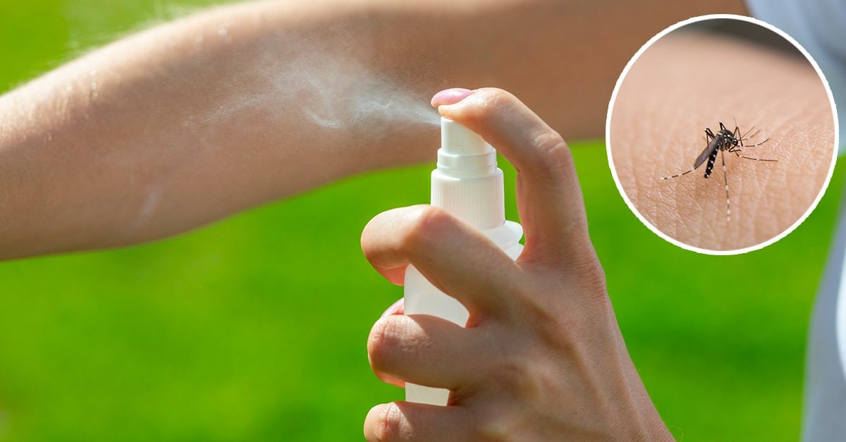 Con il lievito per dolci ho fatto uno spray antizanzare naturale fai da ...
