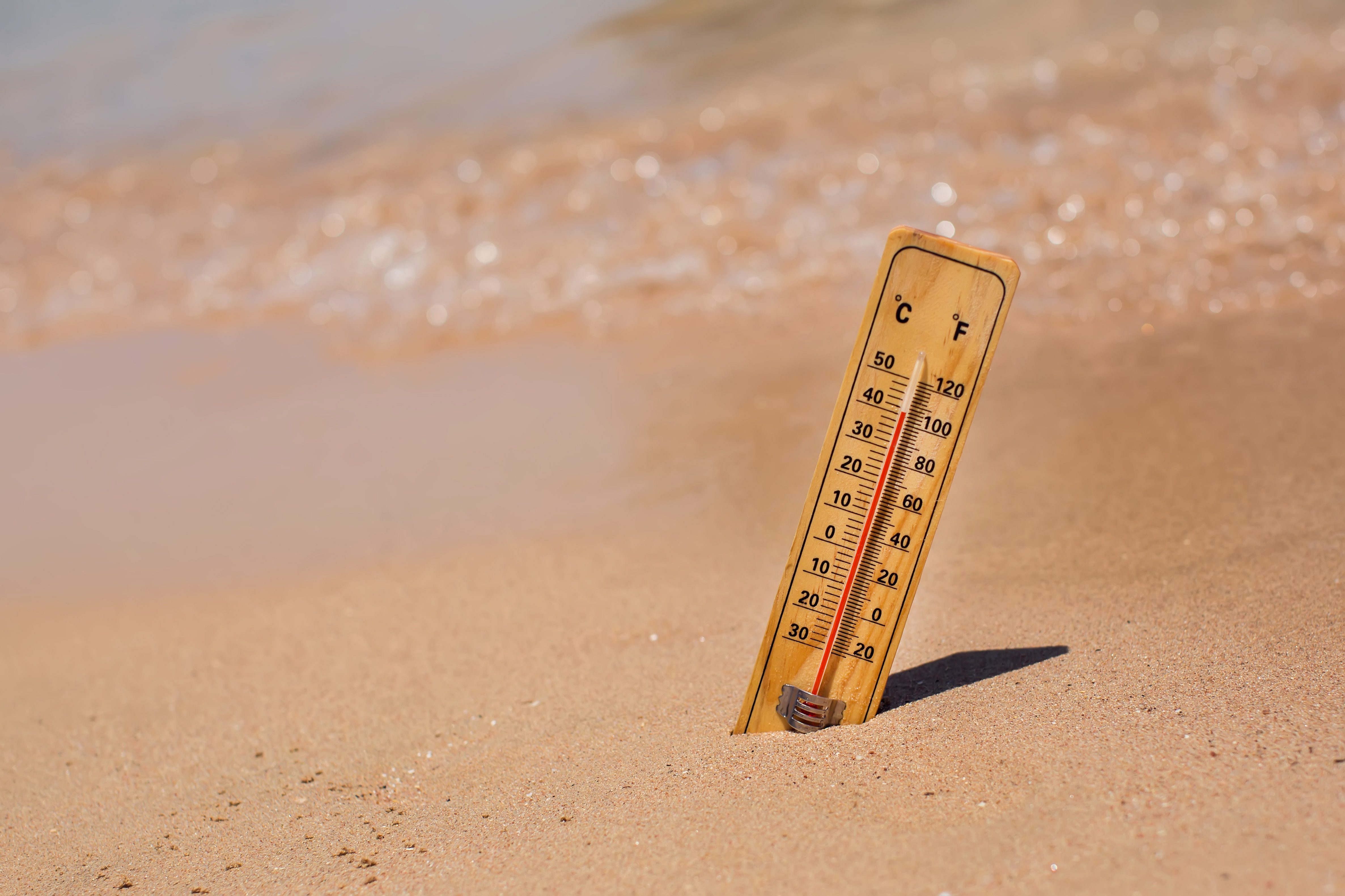 Mediterraneo oltre ogni record: cosa succede se le acque si riscaldano ...