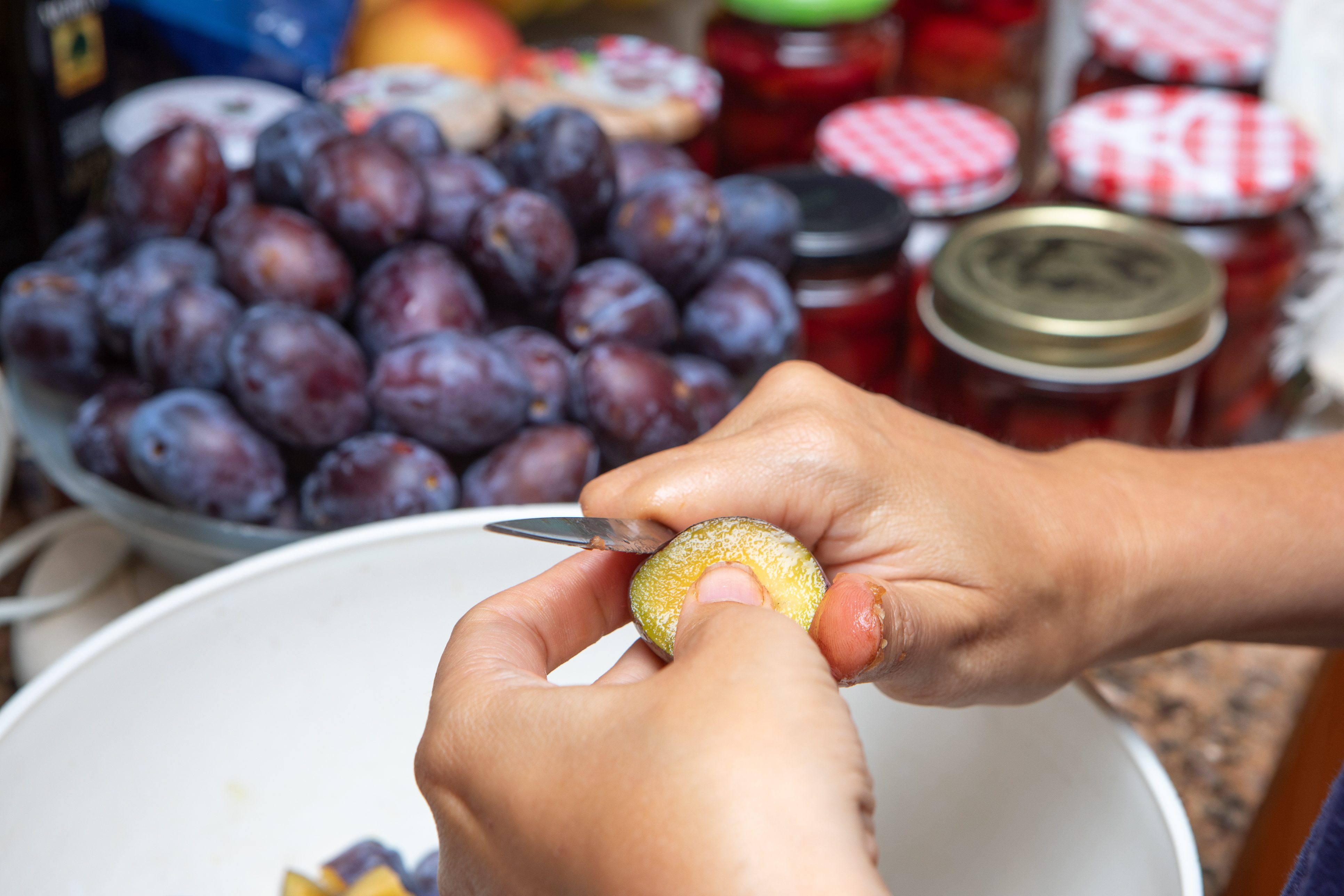 Come conservare le prugne per l'inverno | Ohga!