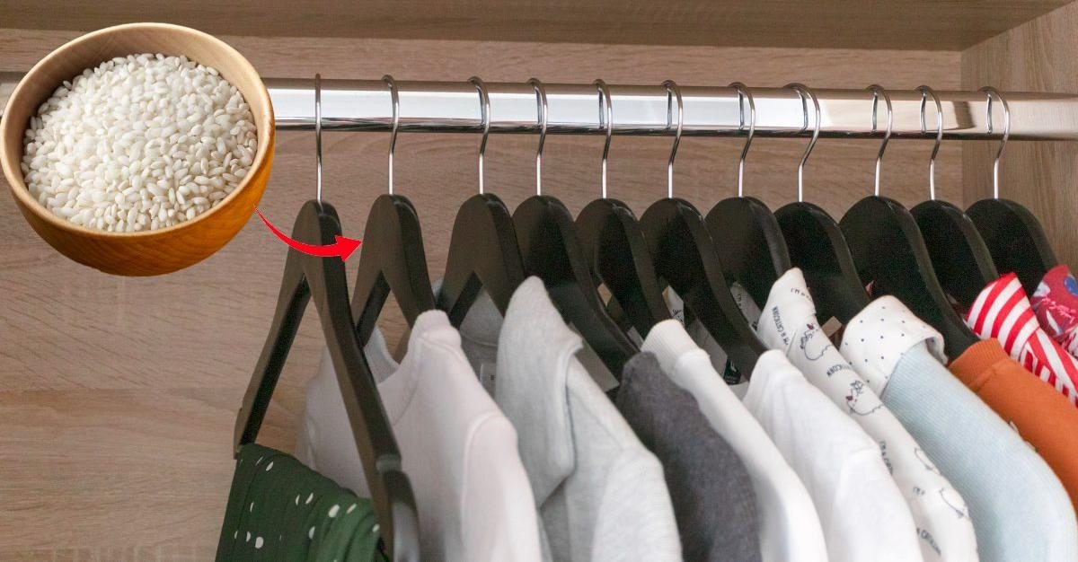 3 metodi per usare il riso scaduto: pulizie, giardino e cassetti | Ohga!