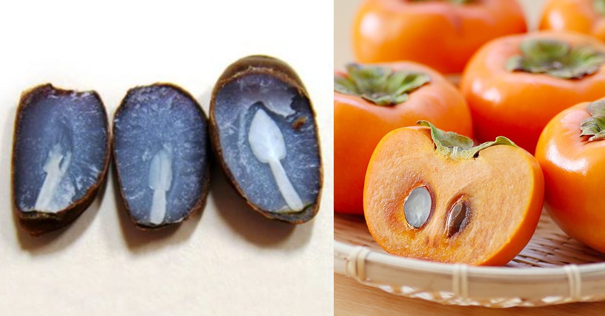 Conosci la storia delle posate nei semi dei cachi? | Ohga!