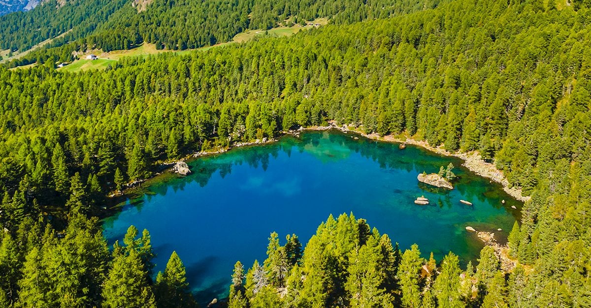 Lago di Saoseo: perché è considerato il più incantevole della Svizzera ...
