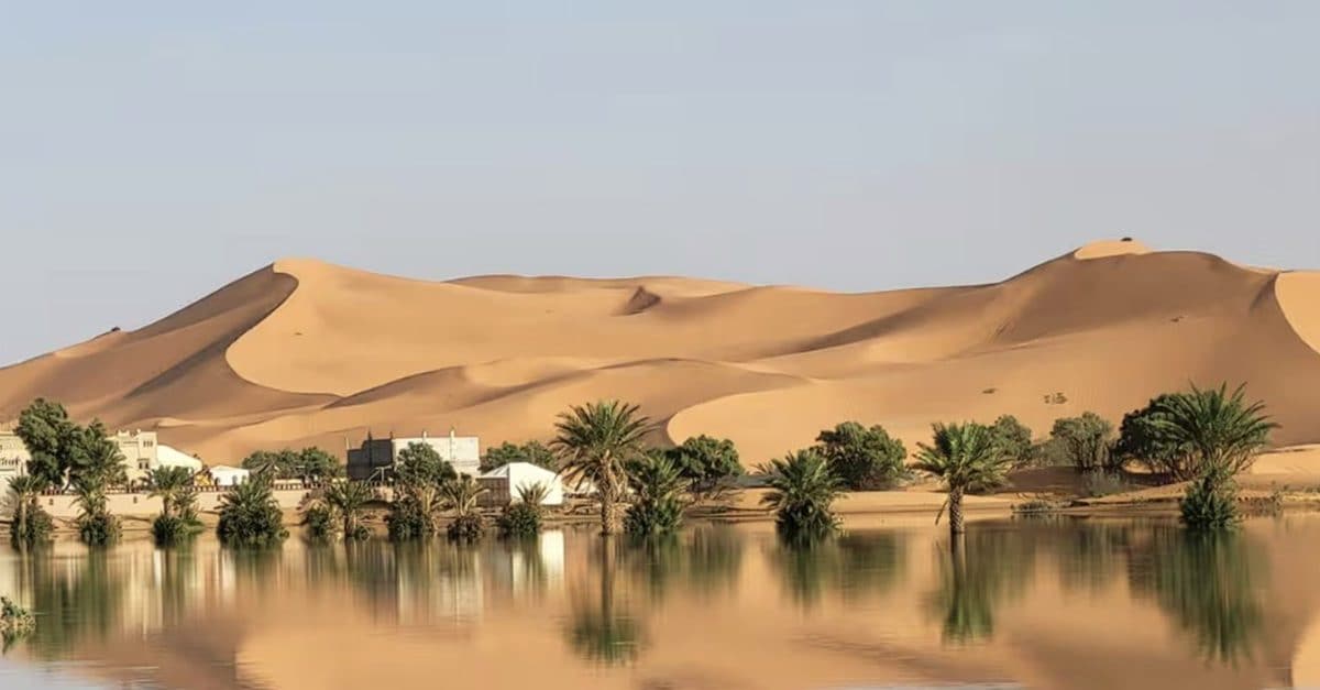 Il Sahara si allaga per la prima volta dopo 50 anni | Ohga!