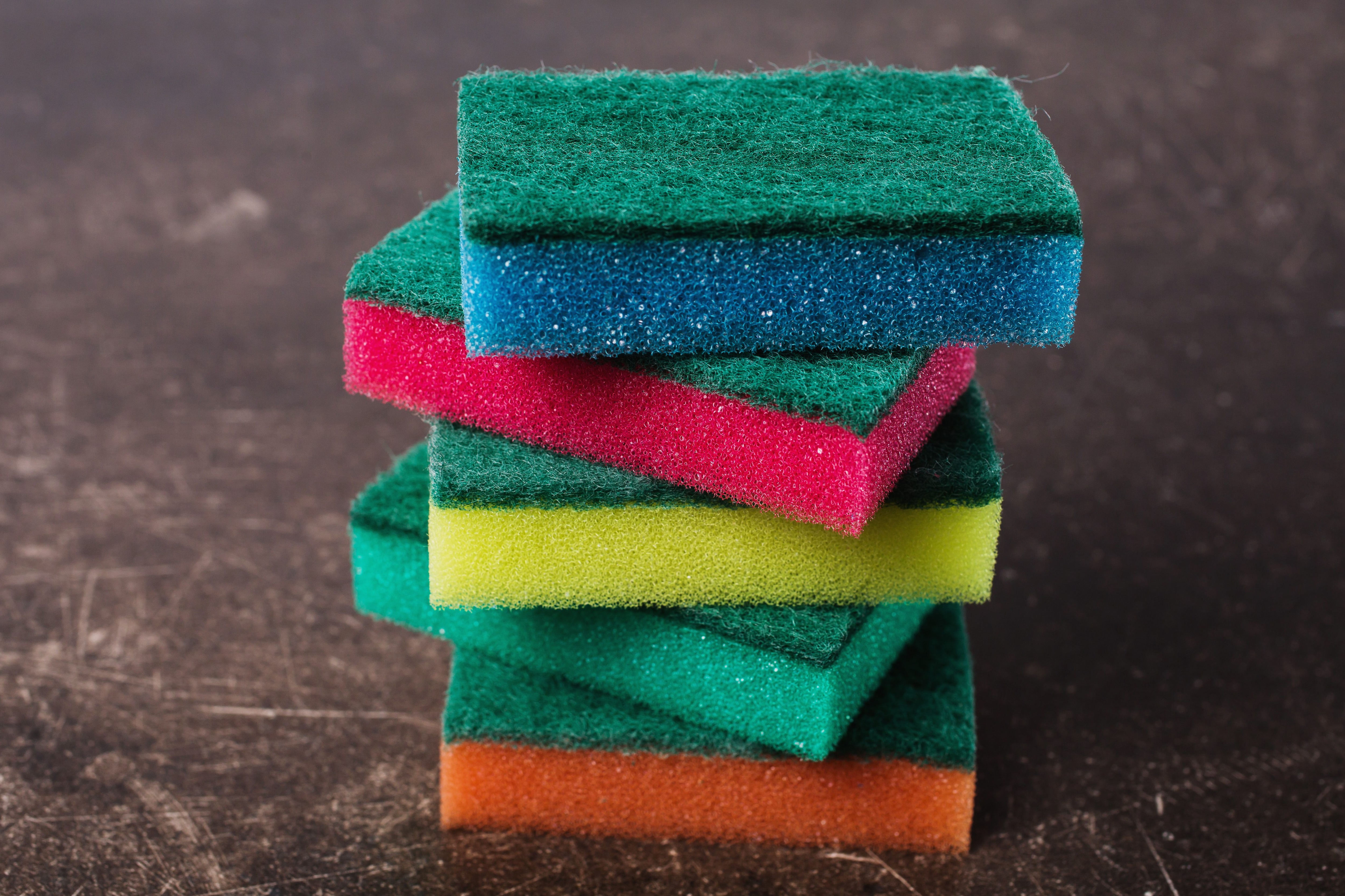 Perché le spugne hanno colori differenti? Il motivo è importante conoscerlo